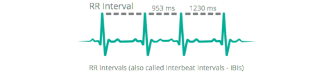 What is Heart Rate Variability? - Elite HRV